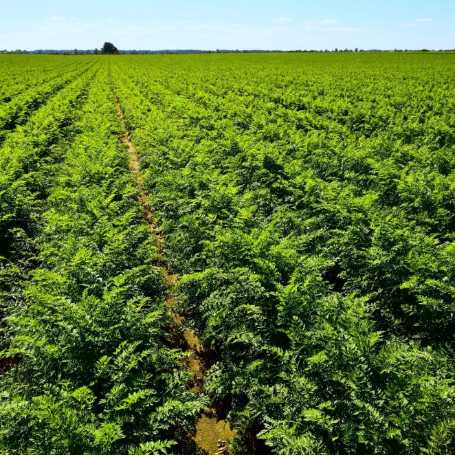 Agricultural Water Filtration Systems | Pipelife