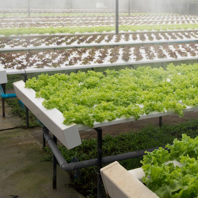 Agricultural Water Supply Systems | Pipelife