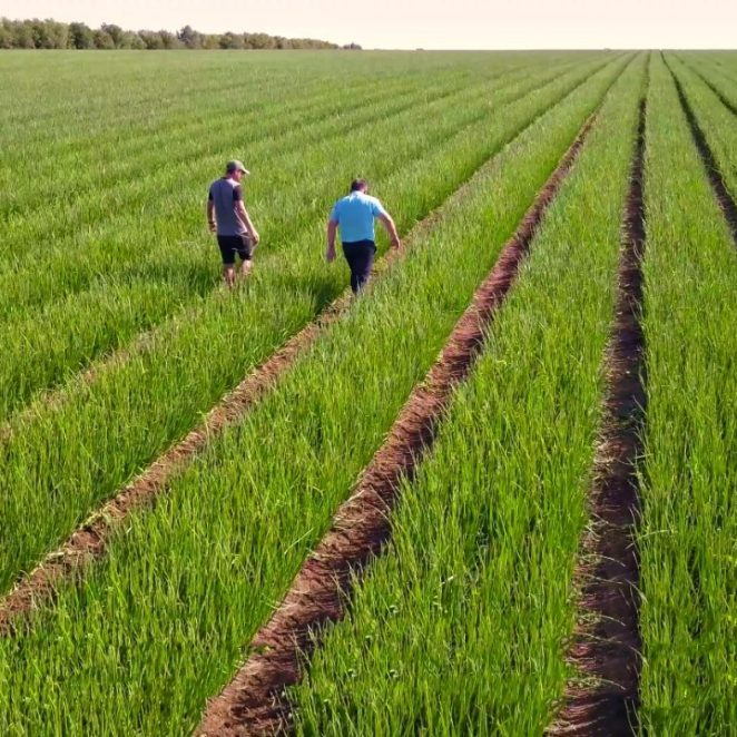 Complete Agricultural Irrigation Systems and Solutions | Pipelife