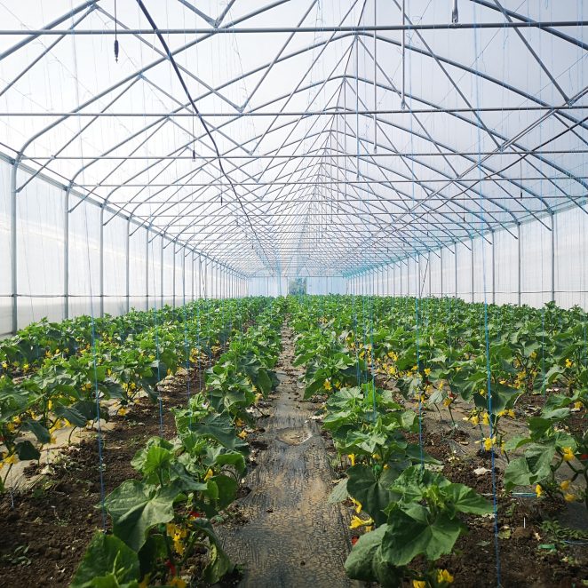 The Future of Irrigation in Agriculture | Pipelife