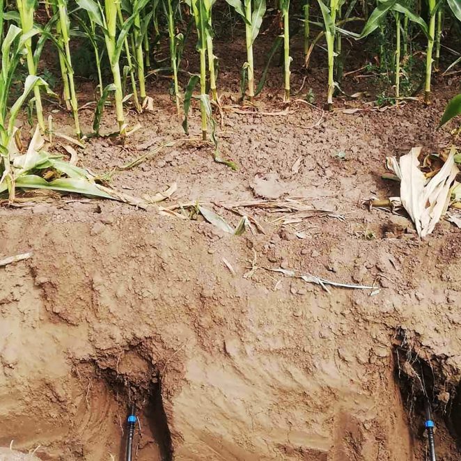 Subsurface drip irrigation | Pipelife